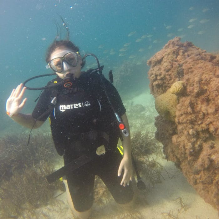 Scuba Diving in Tunisia: Exploring Underwater Worlds