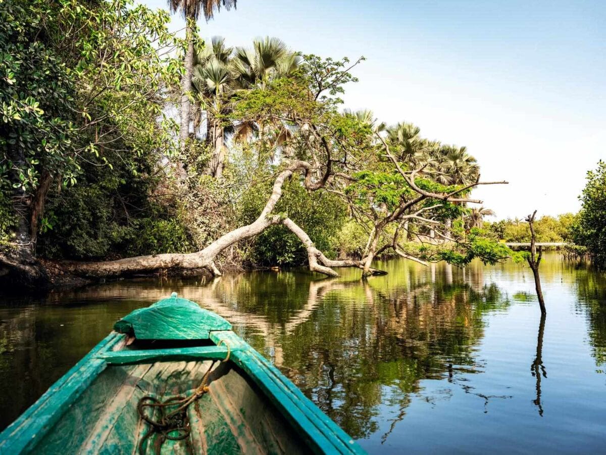 The best things to do in Gambia: beaches, markets & more