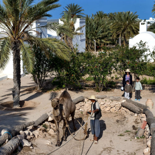 Djerba Explore Park and Crocodile Farm | TUI BLUE Blog