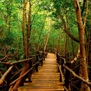 Best things to do in Zanzibar: 8 bucket list activities - TUI BLUE Blog
