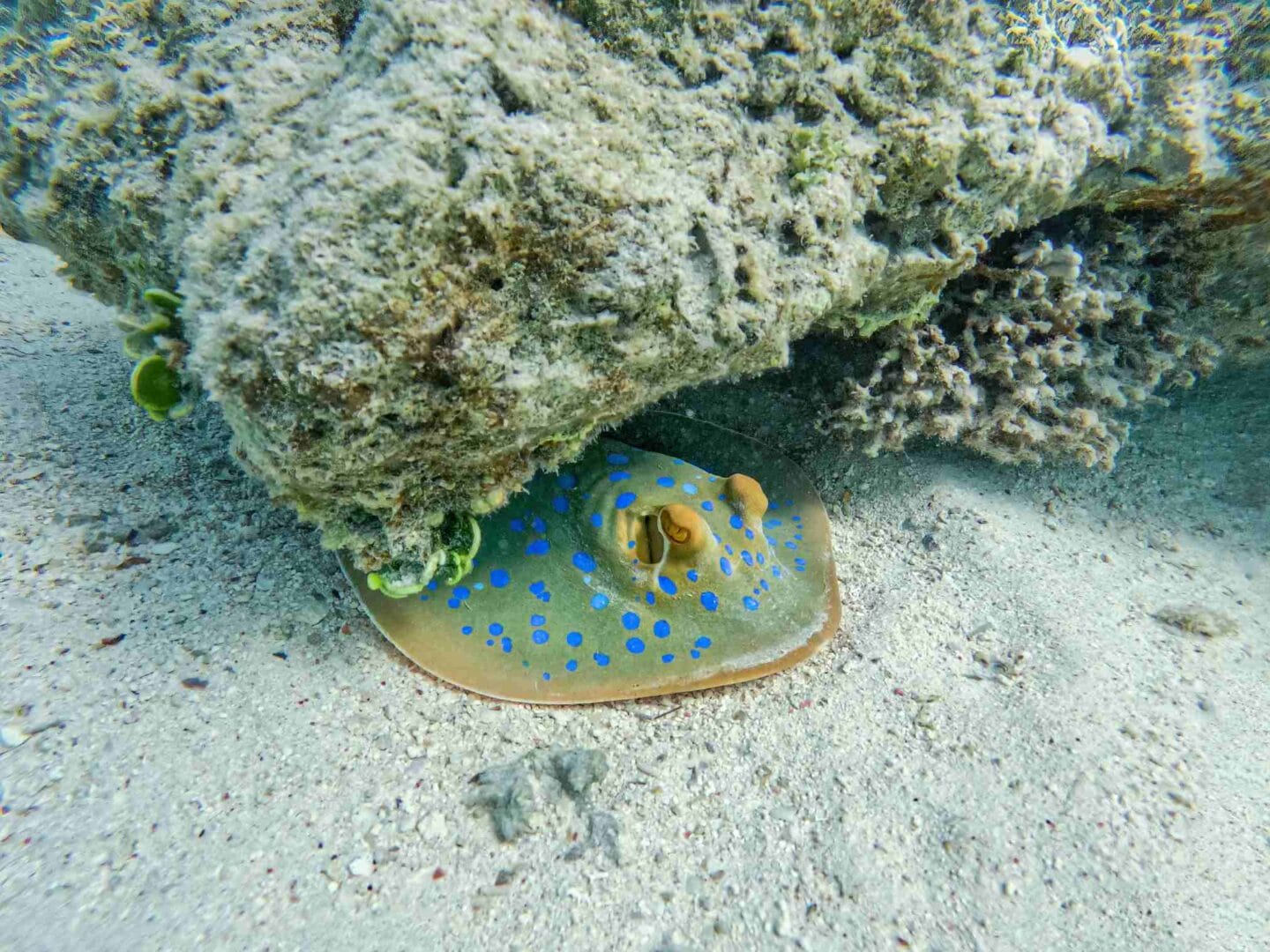 Things to Do in Marsa Alam: Your Complete Guide