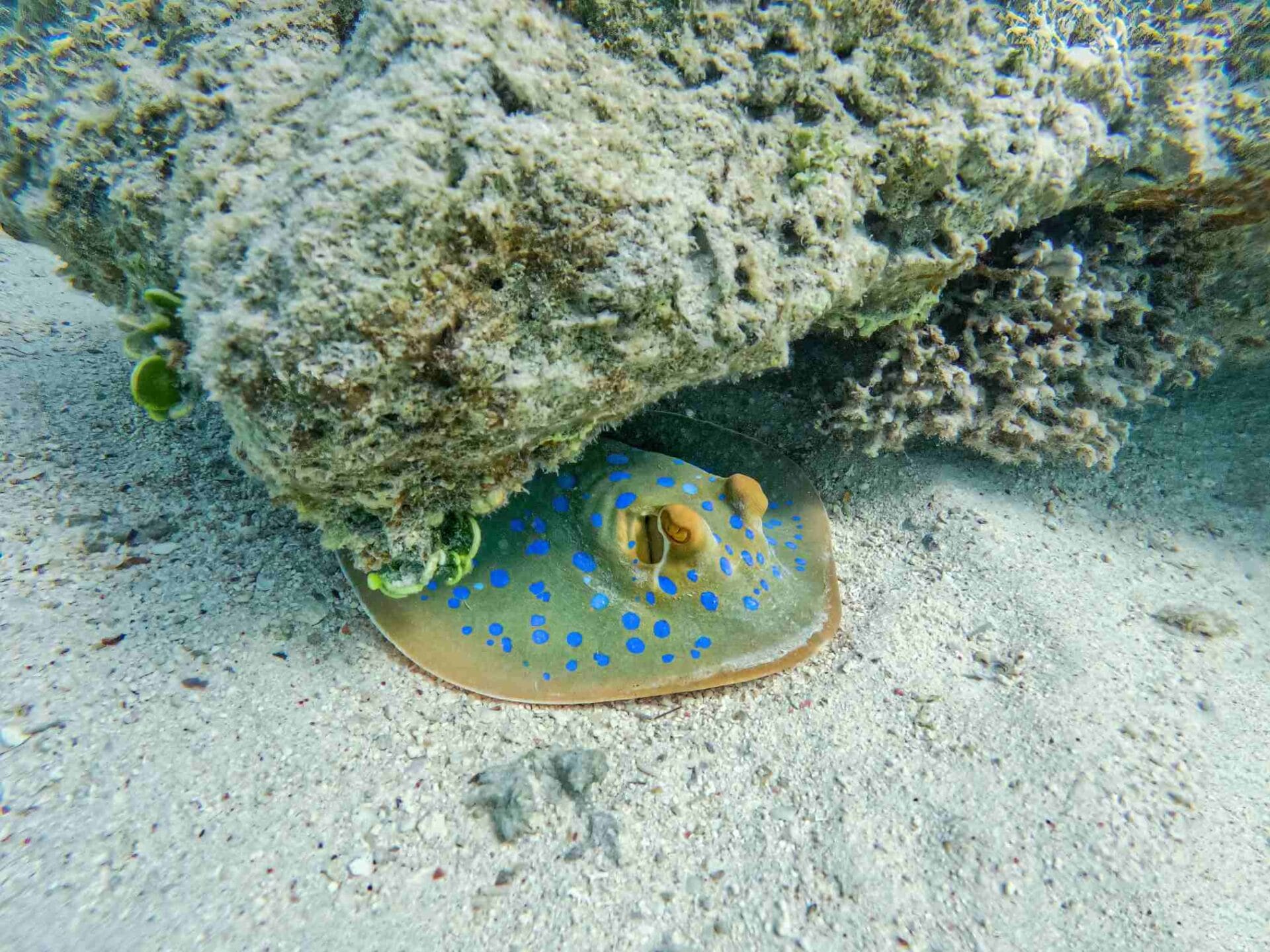Things to Do in Marsa Alam: Your Complete Guide