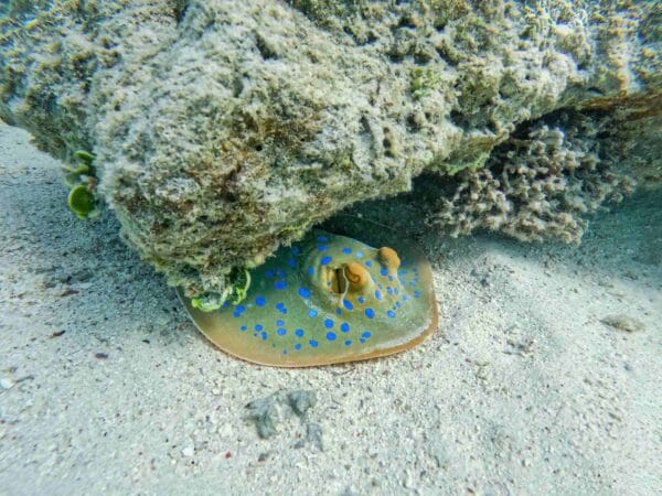 Things to Do in Marsa Alam: Your Complete Guide