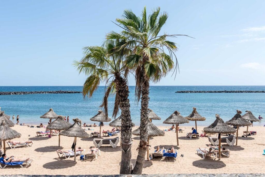 Tenerife Travel Guide: North or South – Which Should You Choose? - TUI ...