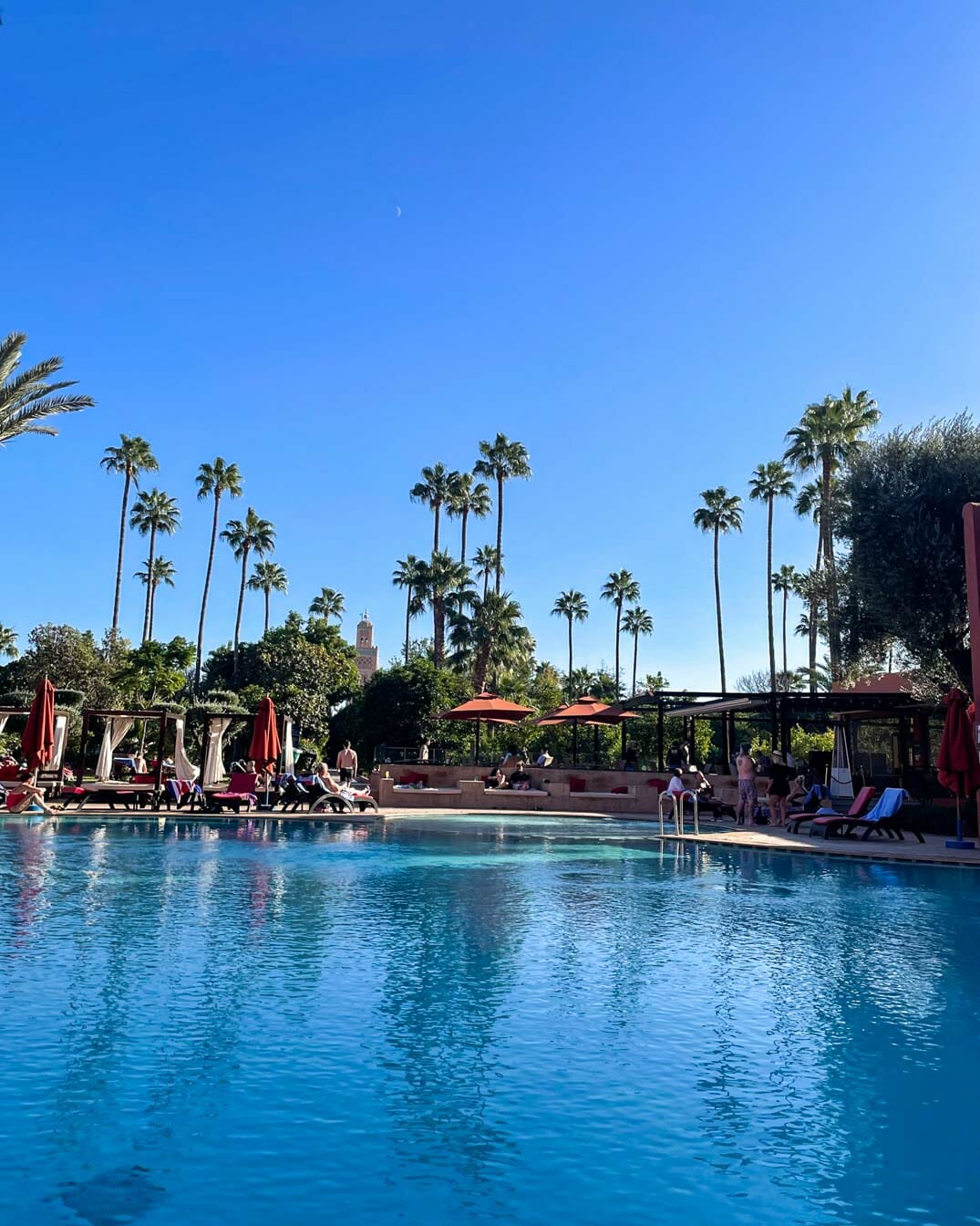 TUI BLUE Hotels in Marrakech: which hotel is the best?
