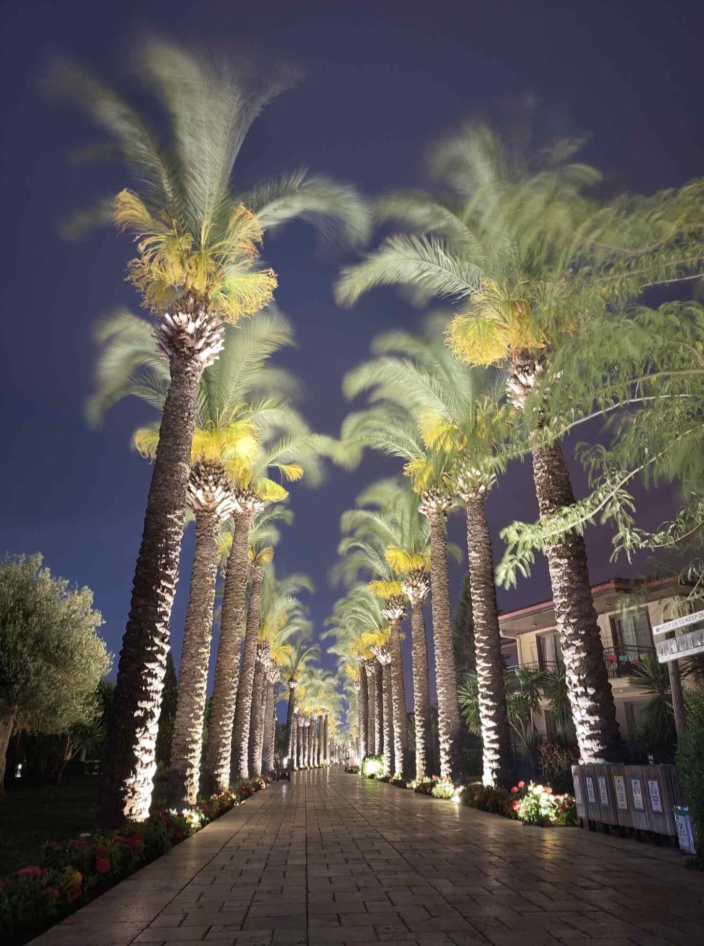 TUI BLUE Palm Garden: Why it wins all the awards