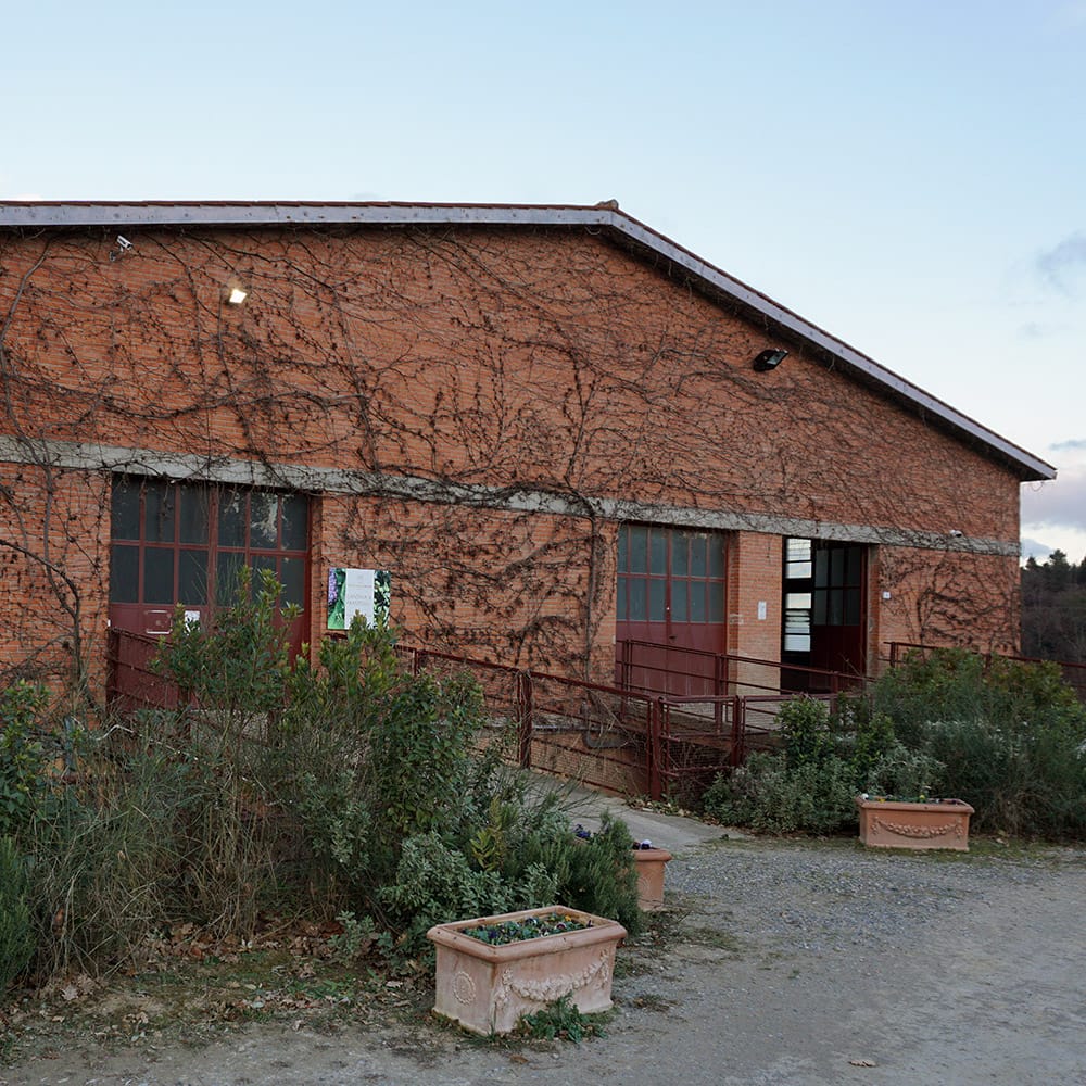 Wine Tasting: Your Vacation in Tuscany - TUI BLUE